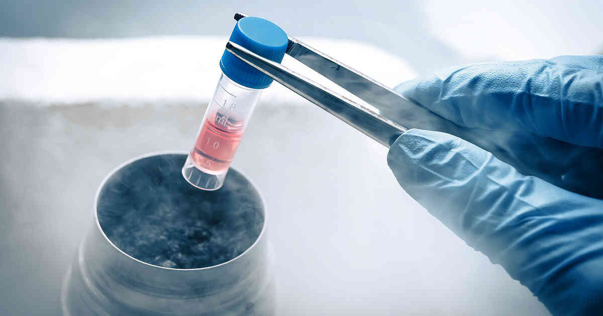 Partner der CryoSolutions AG sind Spezialisten